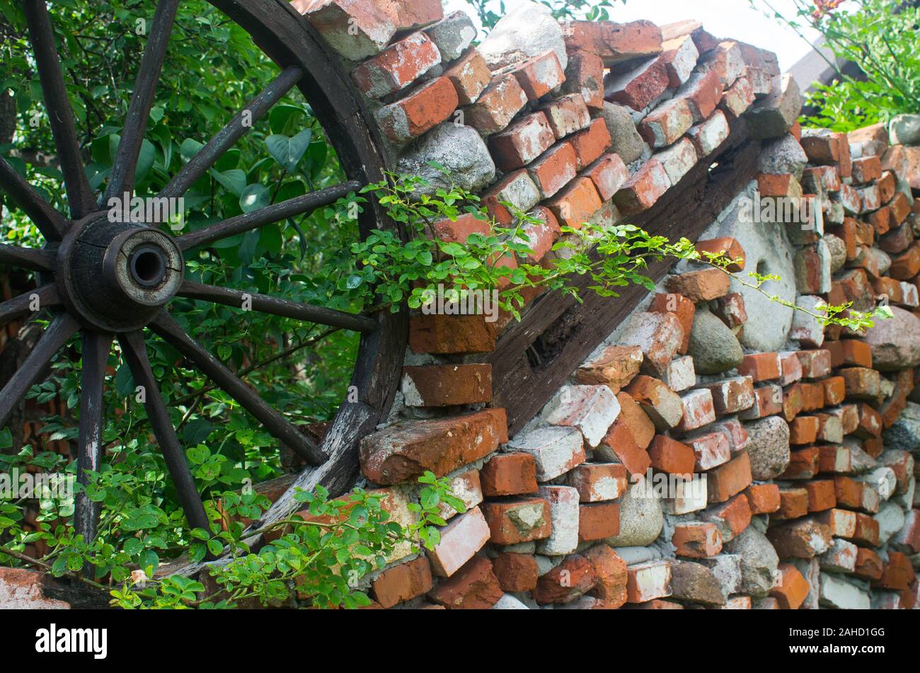 Around wheel hi-res stock photography and images - Alamy