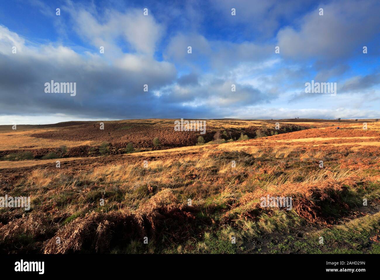 View over Barbrook 1 Stone Circle, Ramsley Big Moor, Peak District ...
