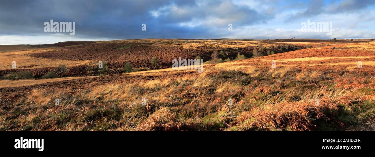 View over Barbrook 1 Stone Circle, Ramsley Big Moor, Peak District ...