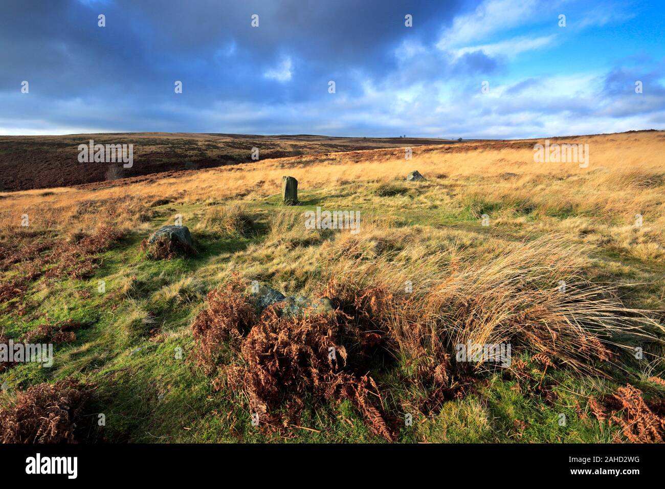 View over Barbrook 1 Stone Circle, Ramsley Big Moor, Peak District ...