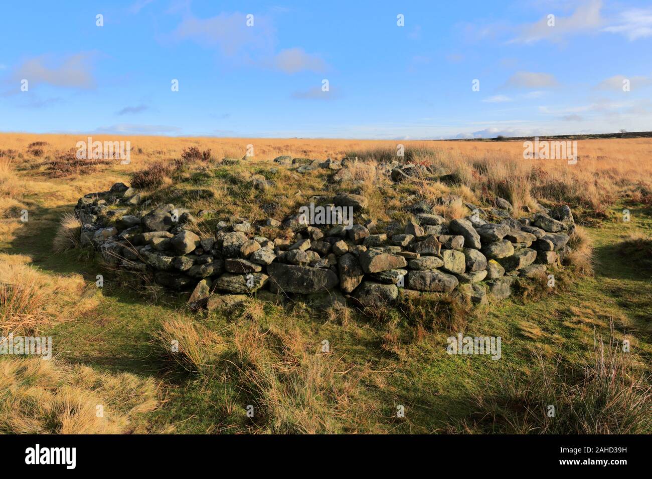 View over Barbrook 1 Stone Circle, Ramsley Big Moor, Peak District ...