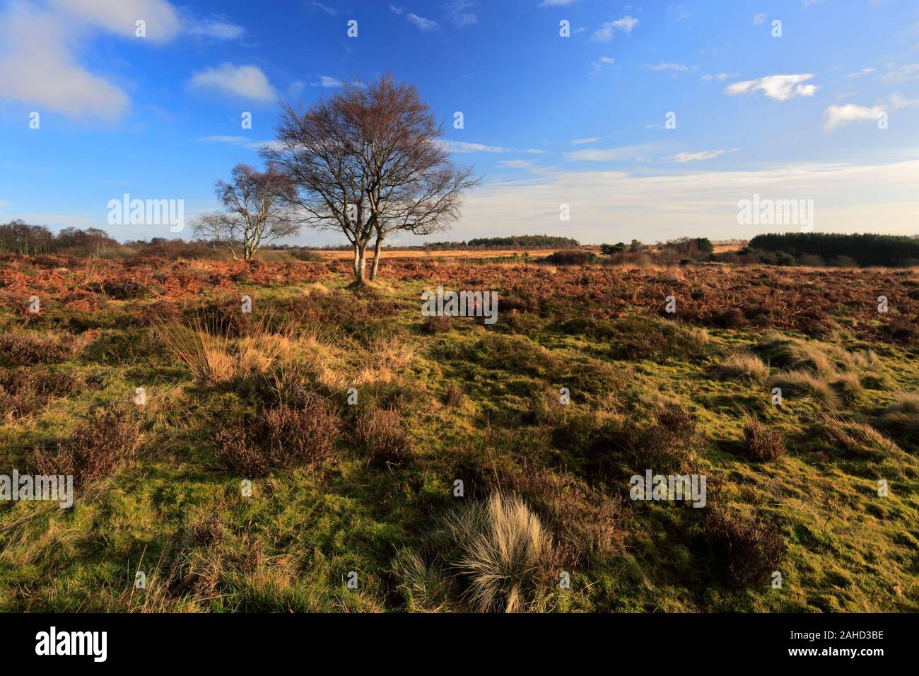 Derbyshire Peak District England High Resolution Stock Photography and ...