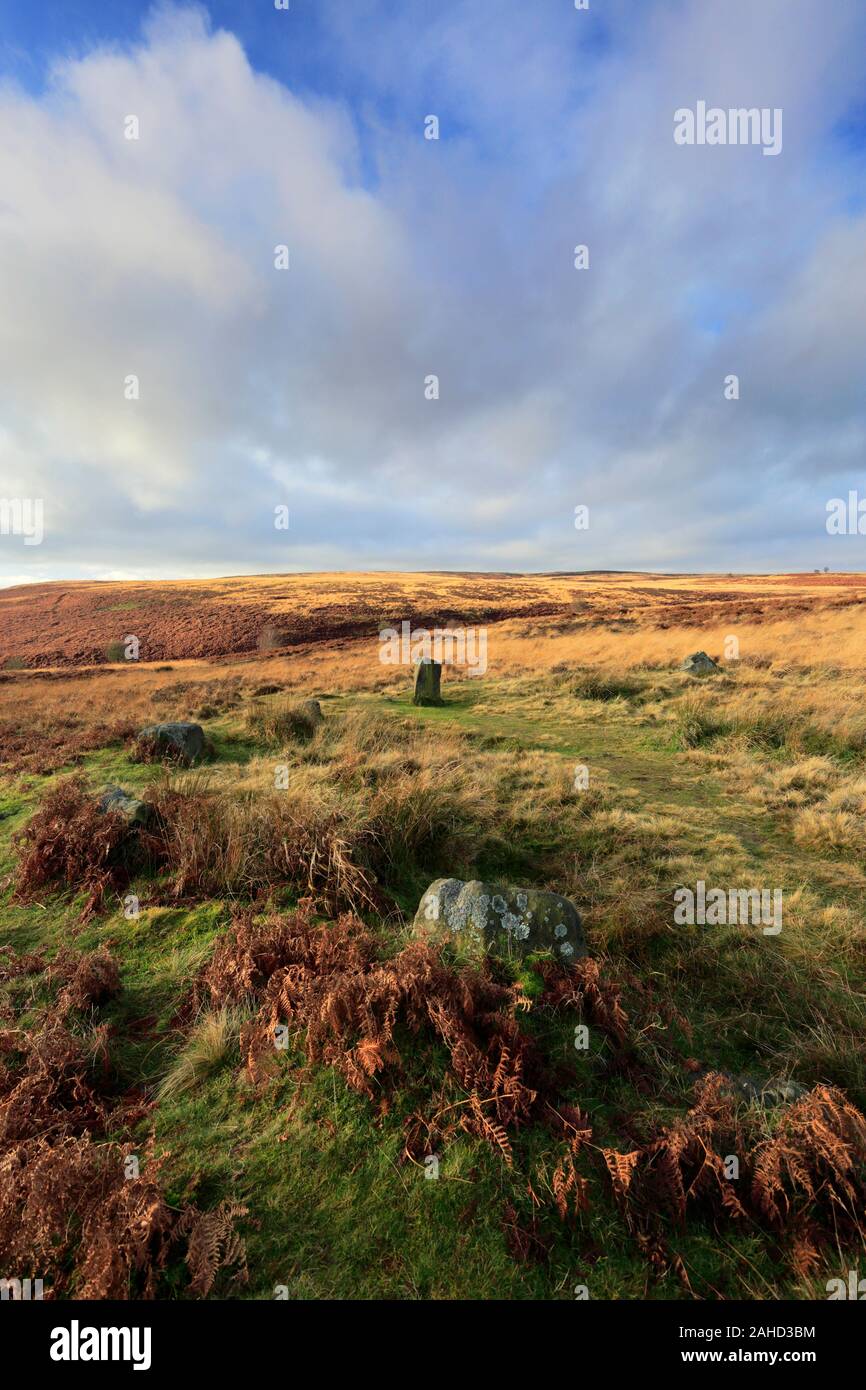 View over Barbrook 1 Stone Circle, Ramsley Big Moor, Peak District ...