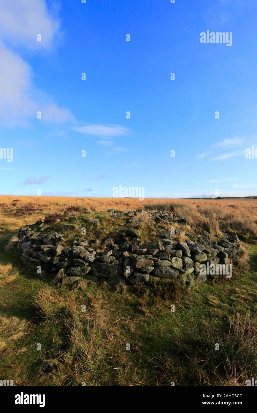 View over Barbrook 1 Stone Circle, Ramsley Big Moor, Peak District ...