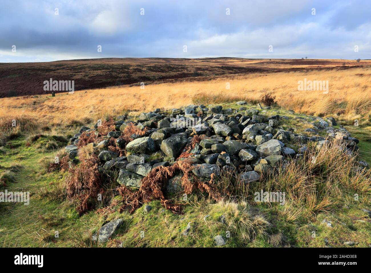 View over Barbrook 1 Stone Circle, Ramsley Big Moor, Peak District ...