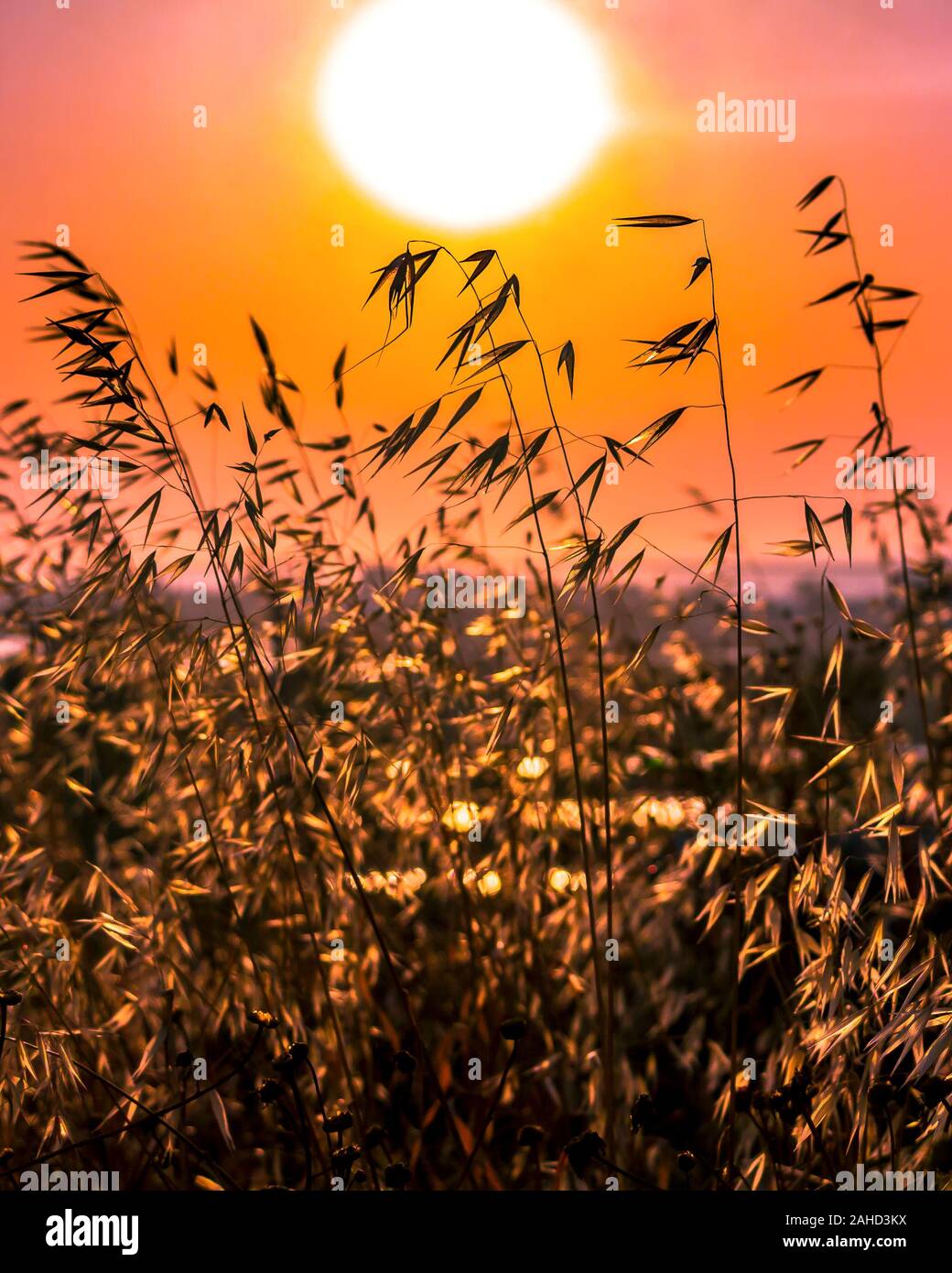 The Amazing View During The Sunset Stock Photo Alamy the-amazing-view-during-the-sunset-stock-photo-alamy