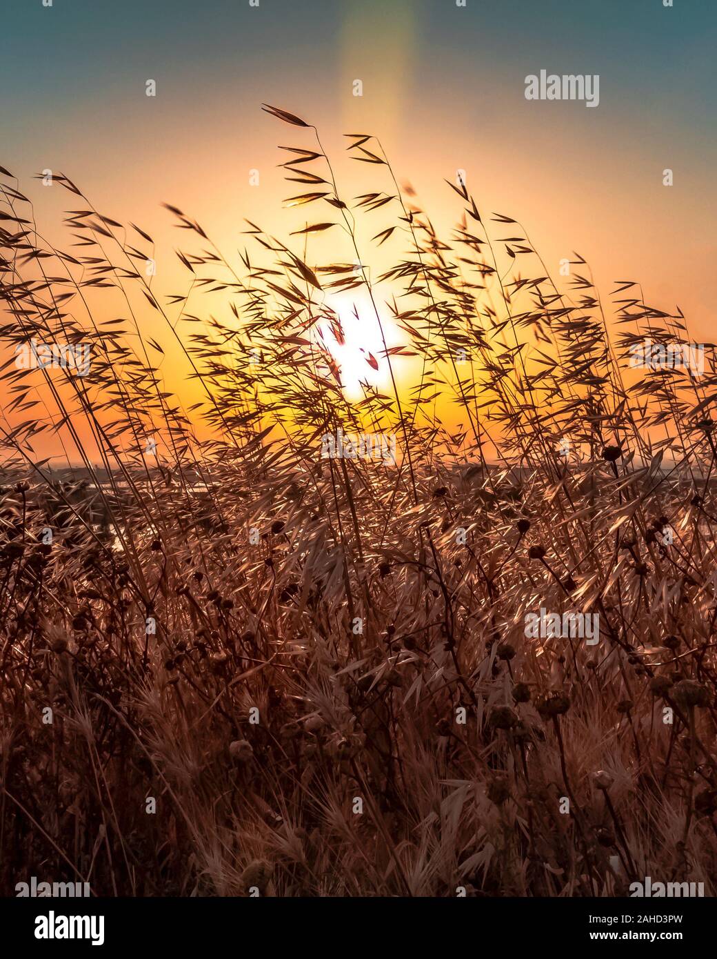 The amazing view during the sunset Stock Photo - Alamy