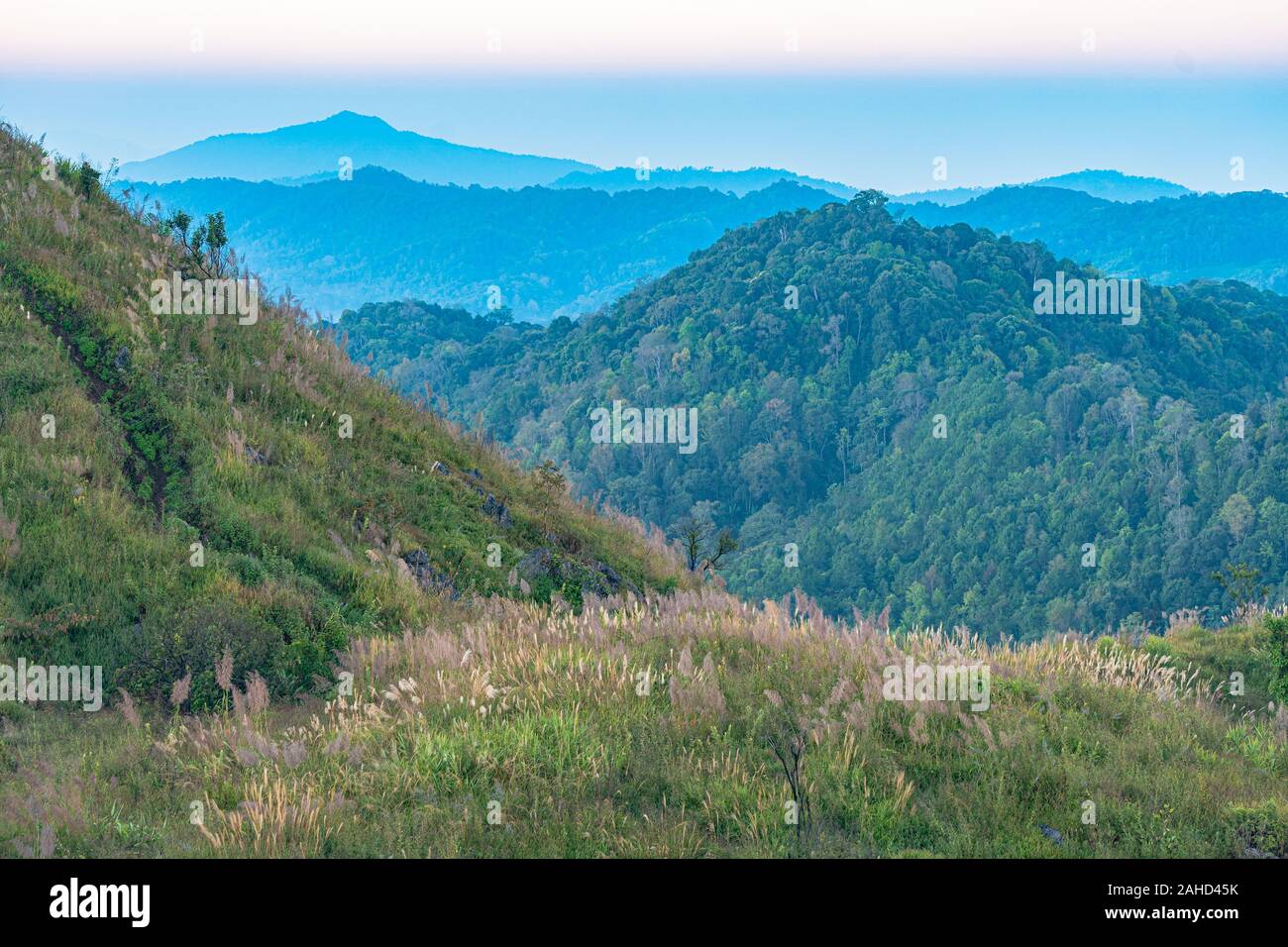 scenery sunrise above the mountain ridge on Doi Pha Phung at Nan ...