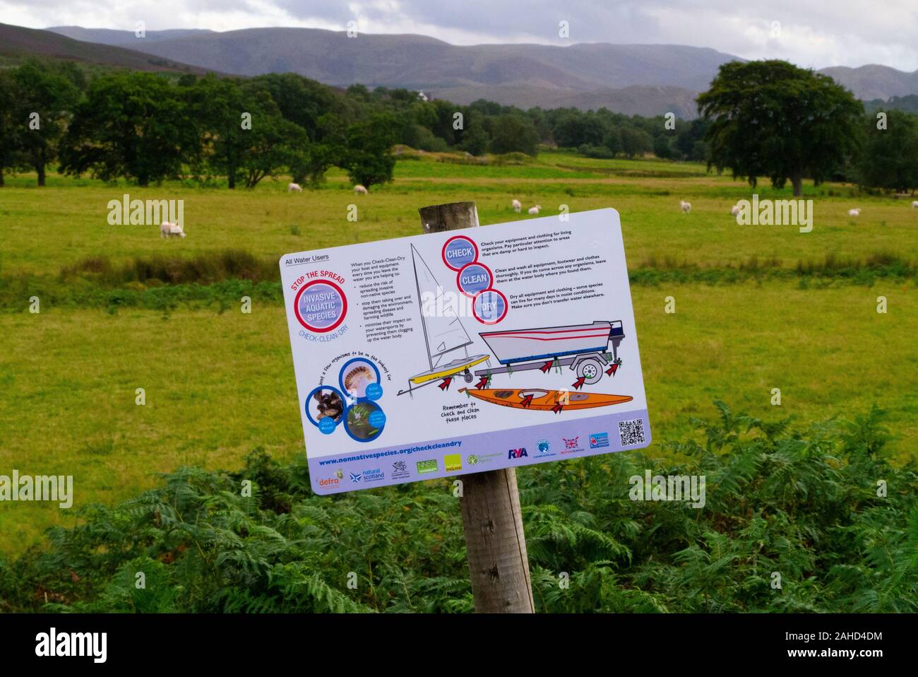 Invasive species hi-res stock photography and images - Alamy