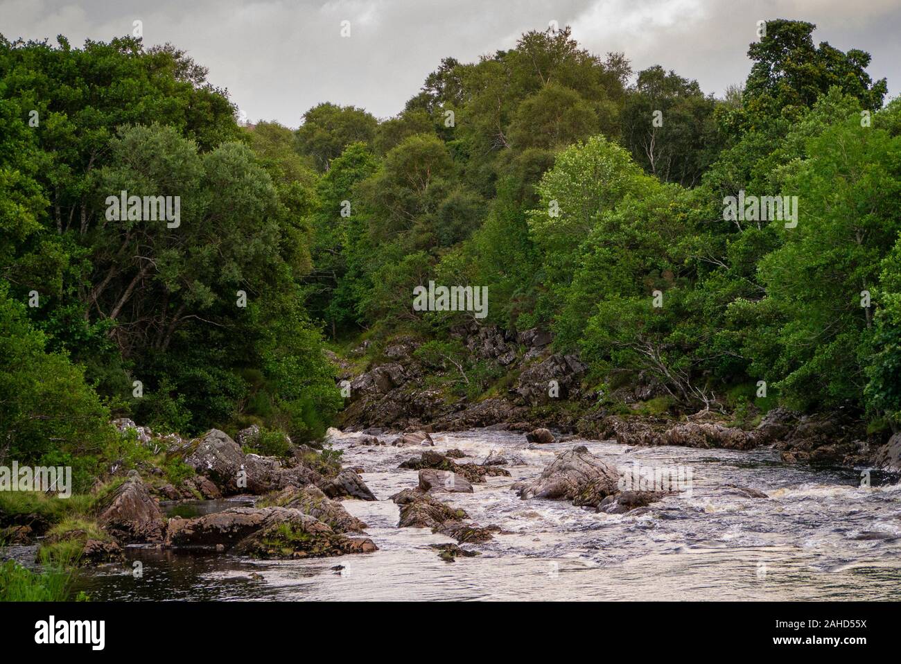 River carron scotland salmon hi-res stock photography and images - Alamy