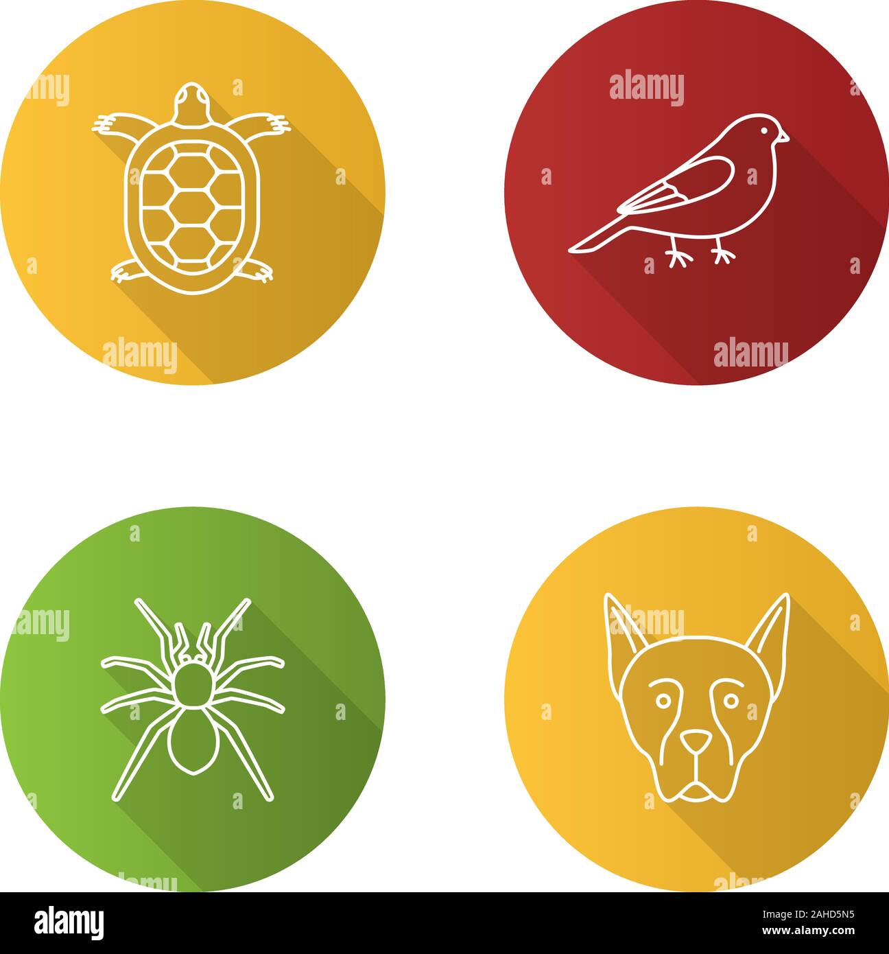 Pets flat linear long shadow icons set. Tortoise, canary, spider ...