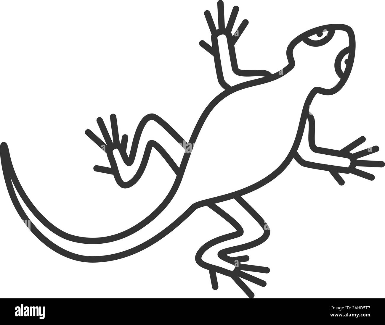 Lizard Linear Icon Thin Line Illustration Salamander Contour Symbol Vector Isolated Outline