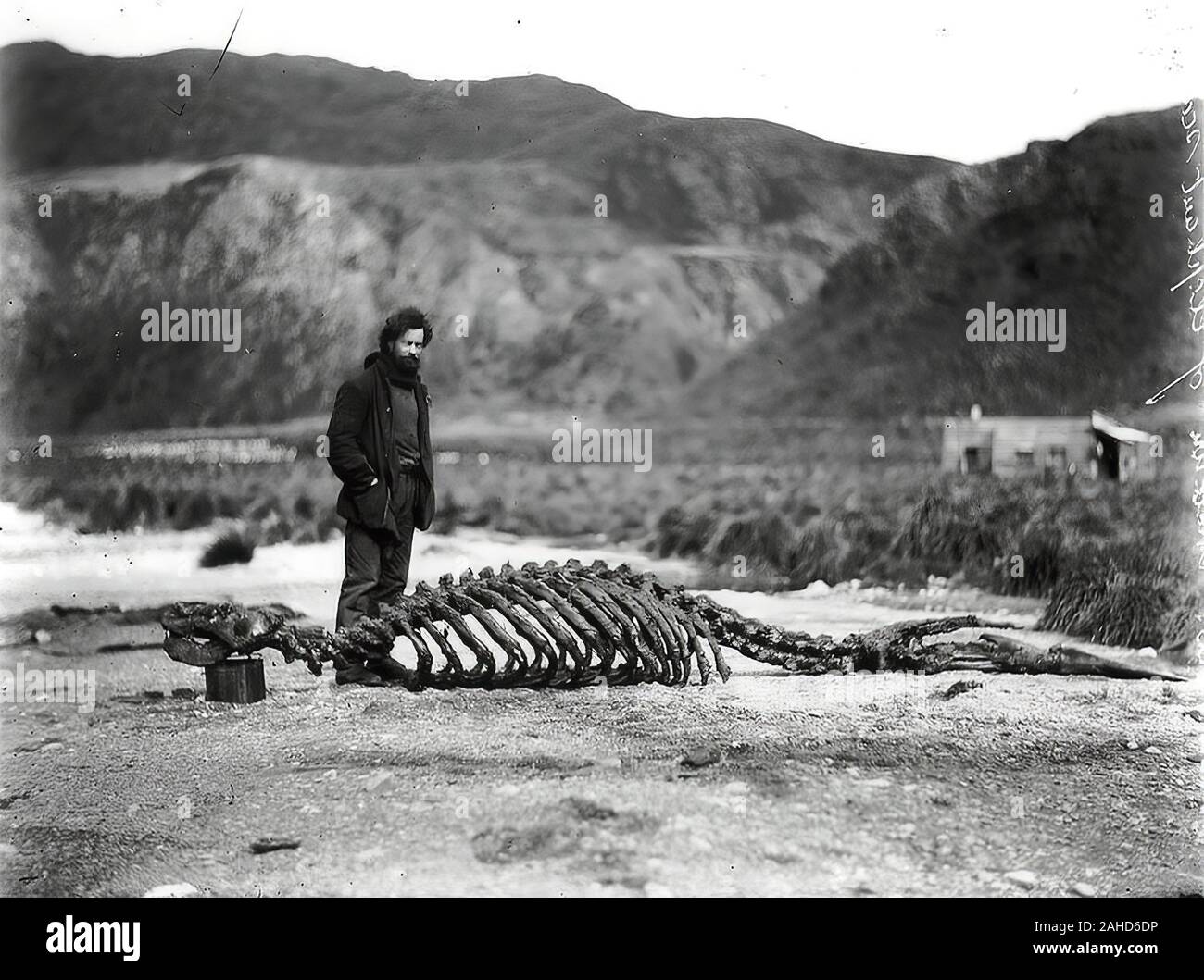 Harold hamilton hi-res stock photography and images - Alamy