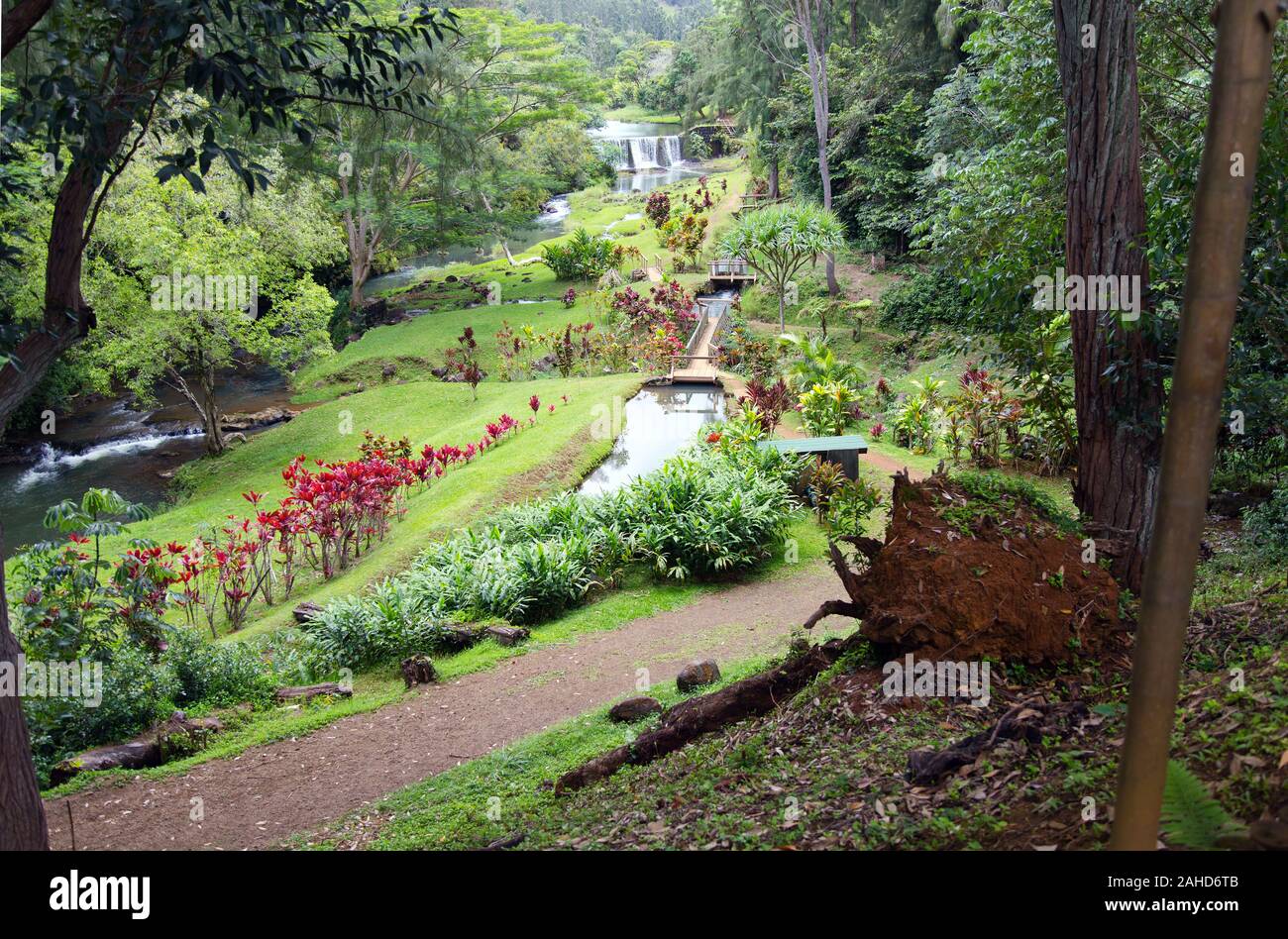 The Wai Koa Loop trail, on the island of Kauai, Hawaii features ...