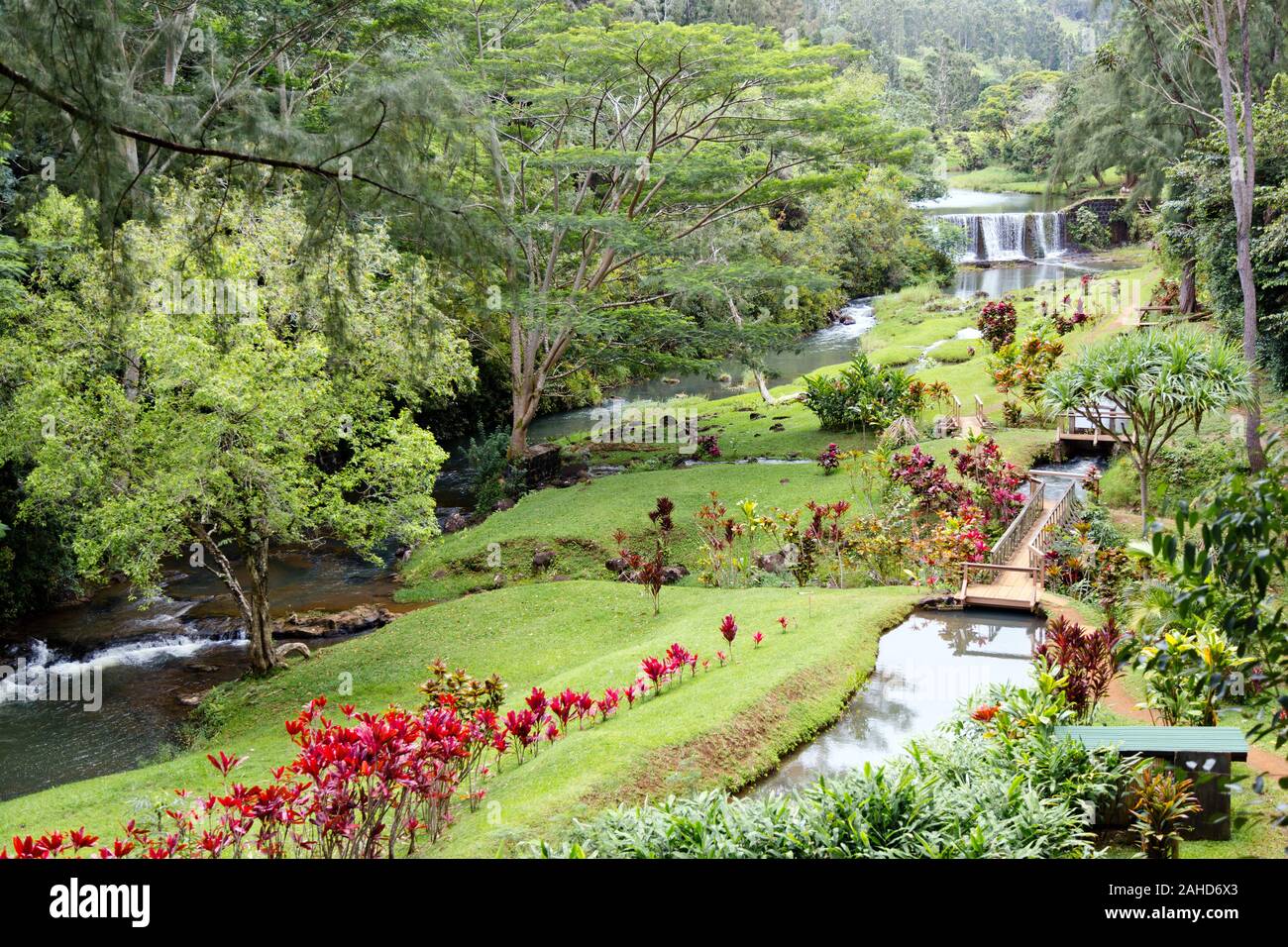 The Wai Koa Loop trail, on the island of Kauai, Hawaii features ...