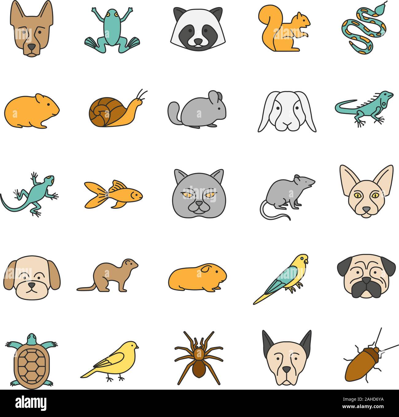 Pets color icons set. Exotic animals. Rodents, birds, reptiles, insects ...