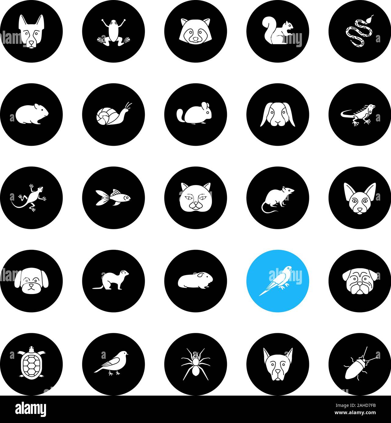 Pets glyph icons set. Exotic animals. Rodents, birds, reptiles, insects ...