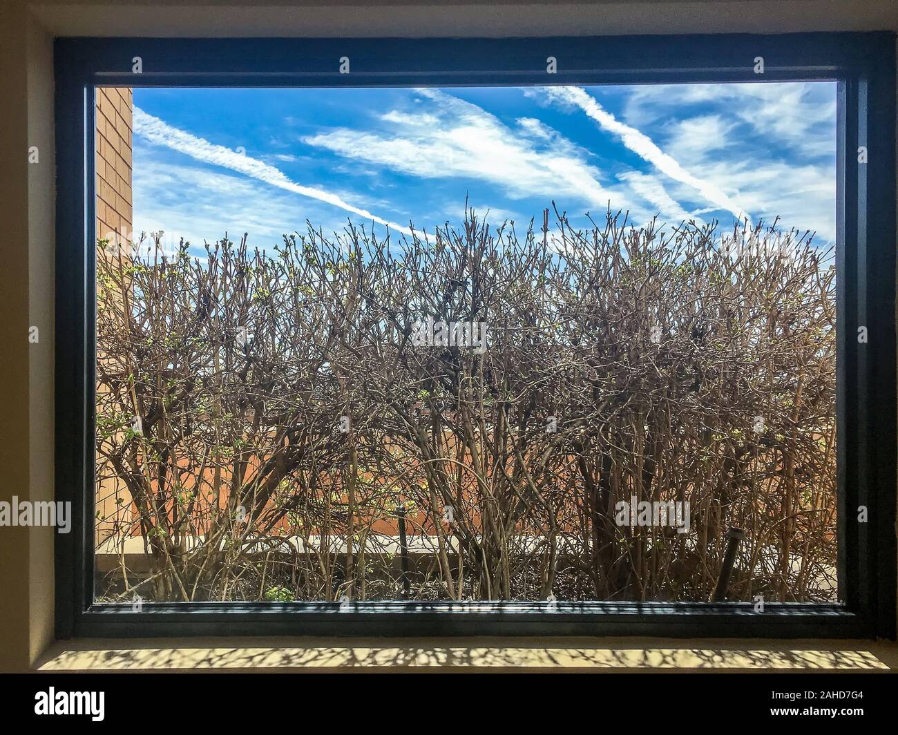 Modern wooden window with frost hi-res stock photography and images - Alamy