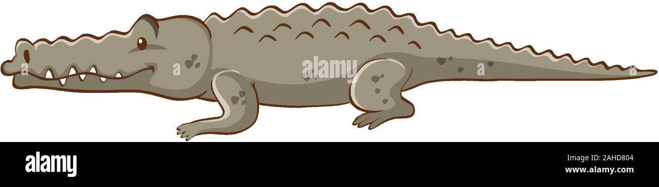 Gray crocodile on white background illustration Stock Vector Image ...