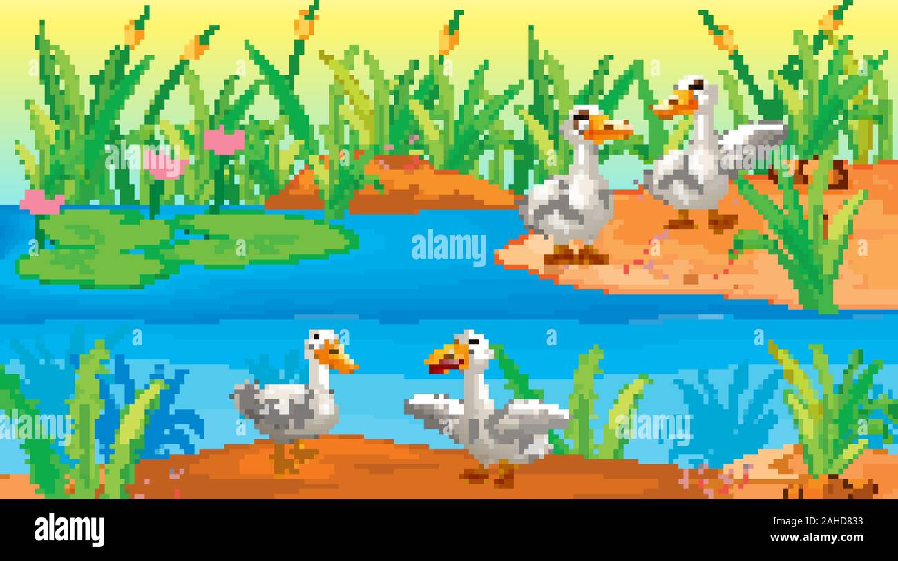 Scene with ducks by the river illustration Stock Vector Image & Art - Alamy