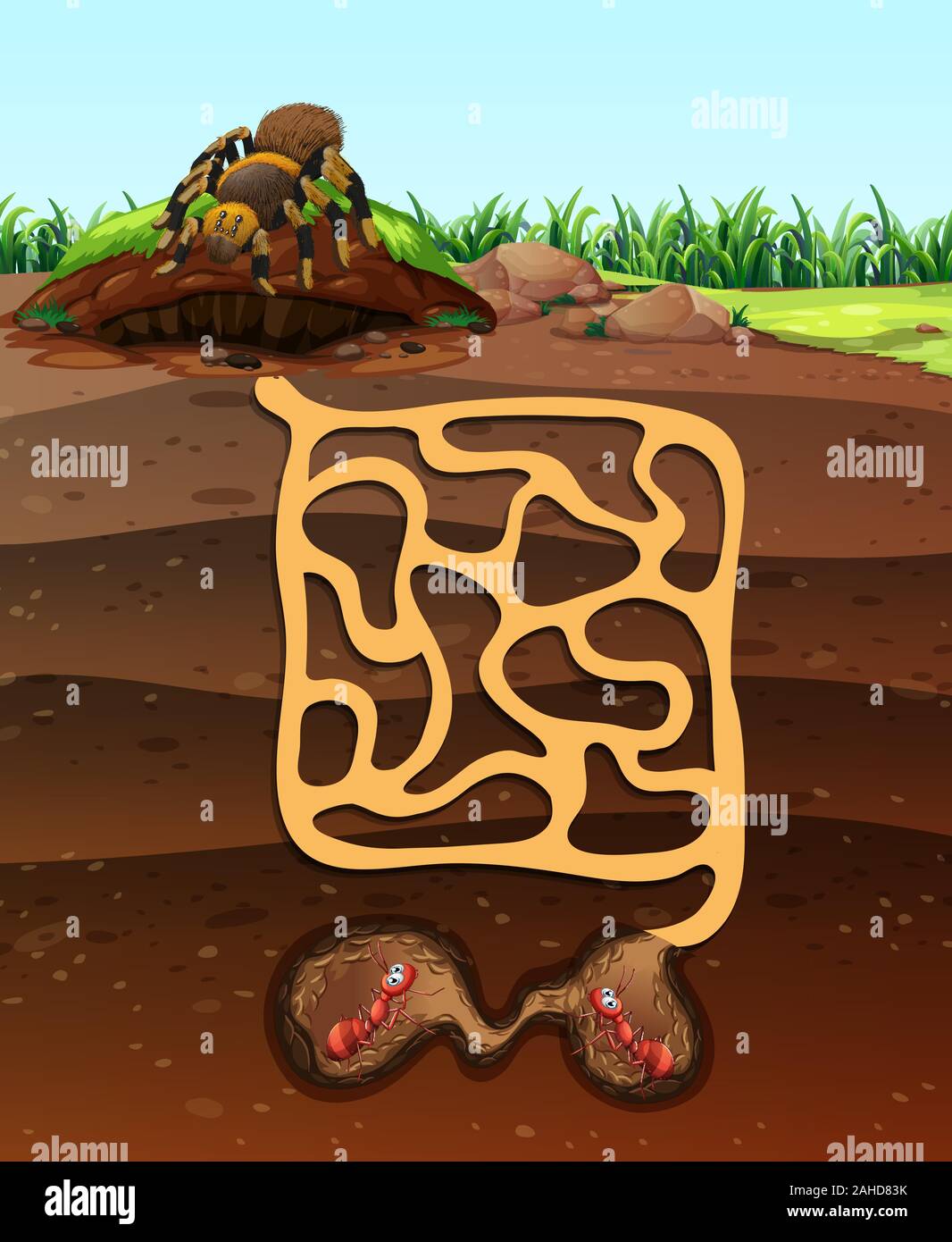 Landscape design with ants underground illustration Stock Vector Image ...