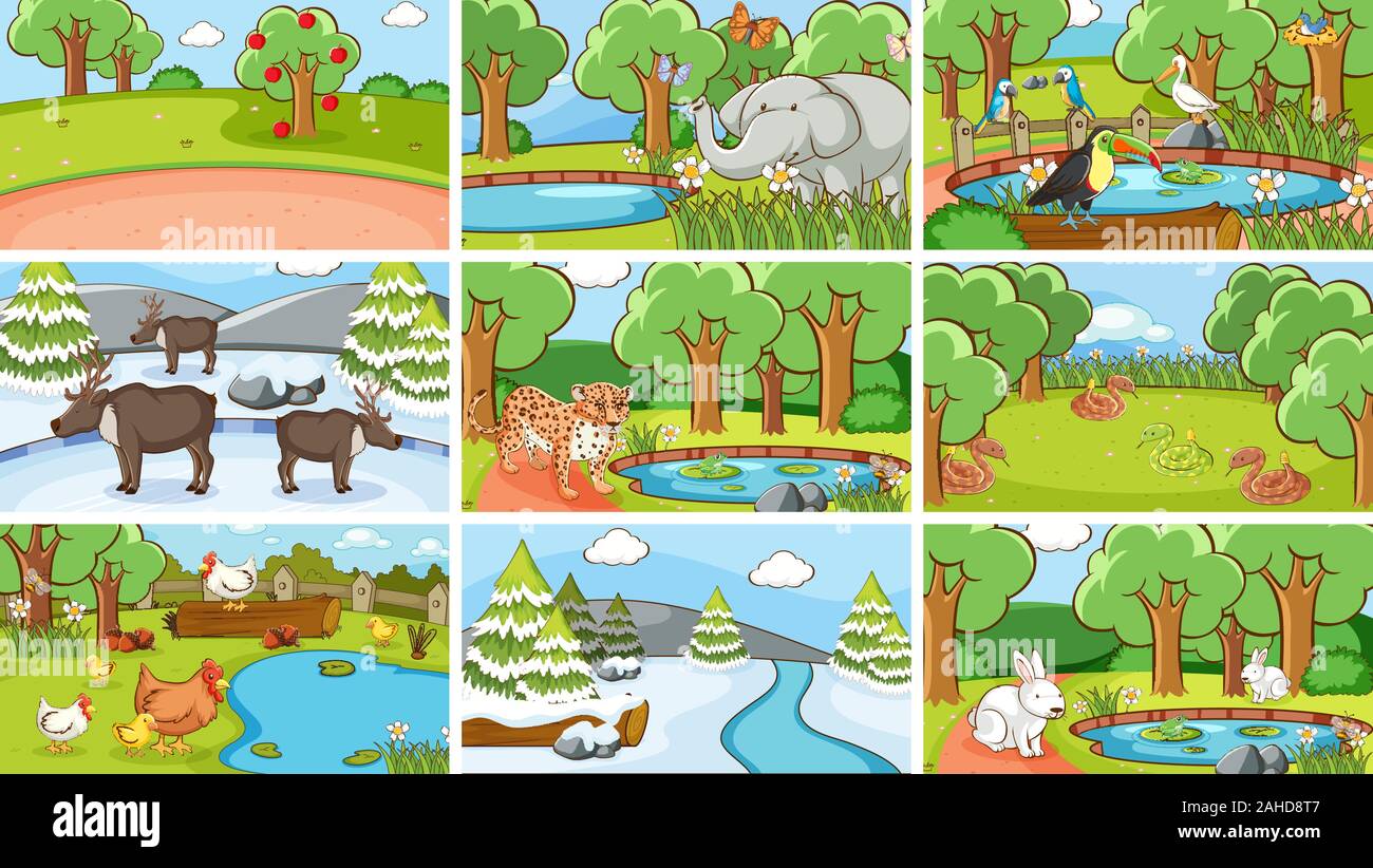 Background scenes of animals in the wild illustration Stock Vector ...