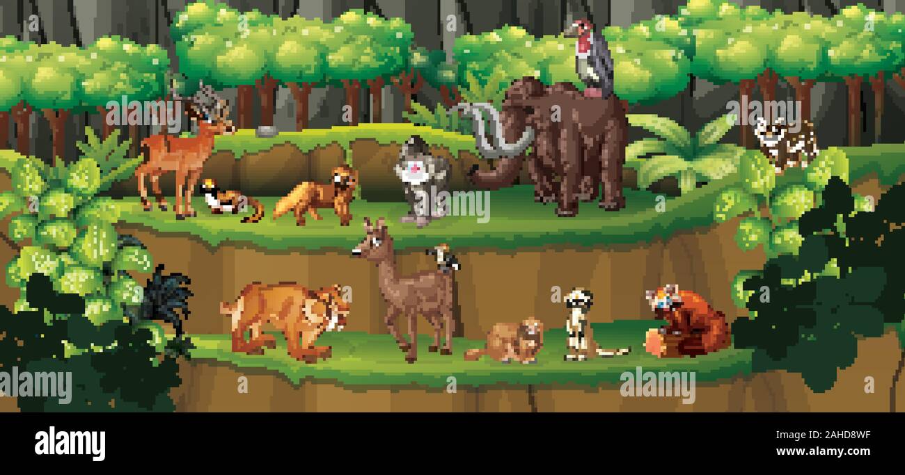 Scene with many animals in forest illustration Stock Vector Image & Art ...