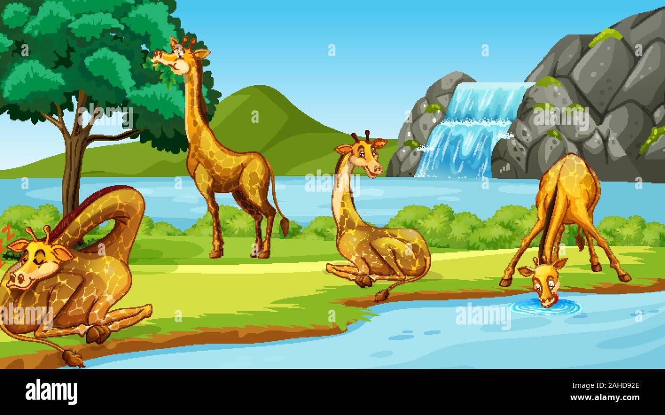 Scene with giraffes by the river illustration Stock Vector Image & Art ...