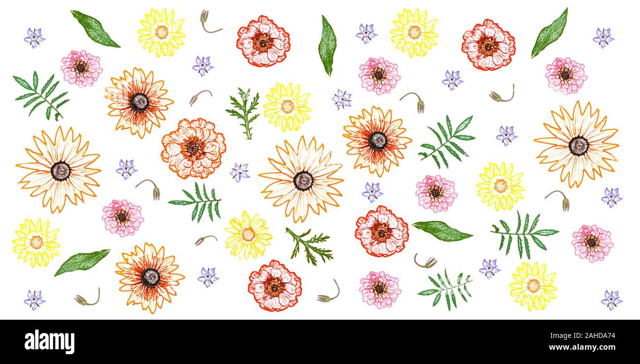 Digital art painting canvas - mix of colorful summer flowers and green ...