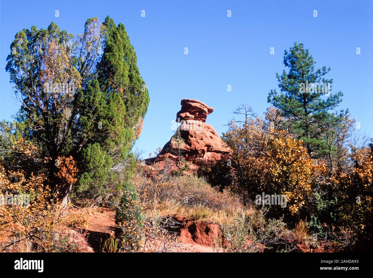 Scotsman, Garden of the Gods, Manitou Springs, Colorado Stock Photo - Alamy