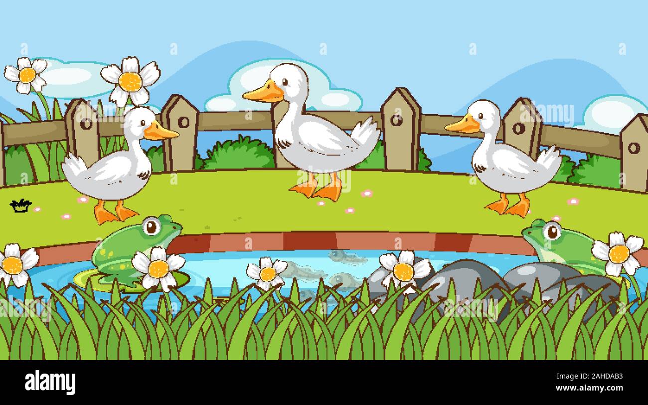 Scene with ducks and frogs by the pond illustration Stock Vector Image ...