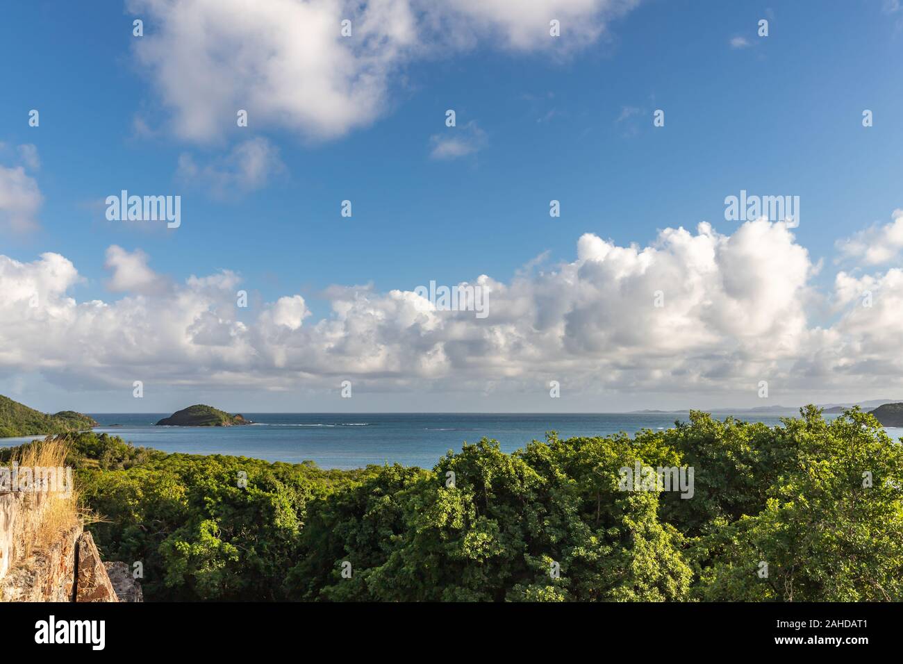 Ruins of a 17th-century Chateau Dubuc in Trinite, Martinique, France ...