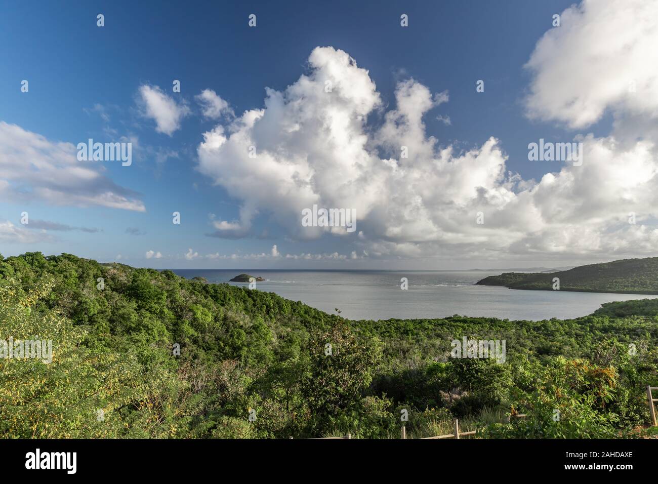 Ruins of a 17th-century Chateau Dubuc in Trinite, Martinique, France ...