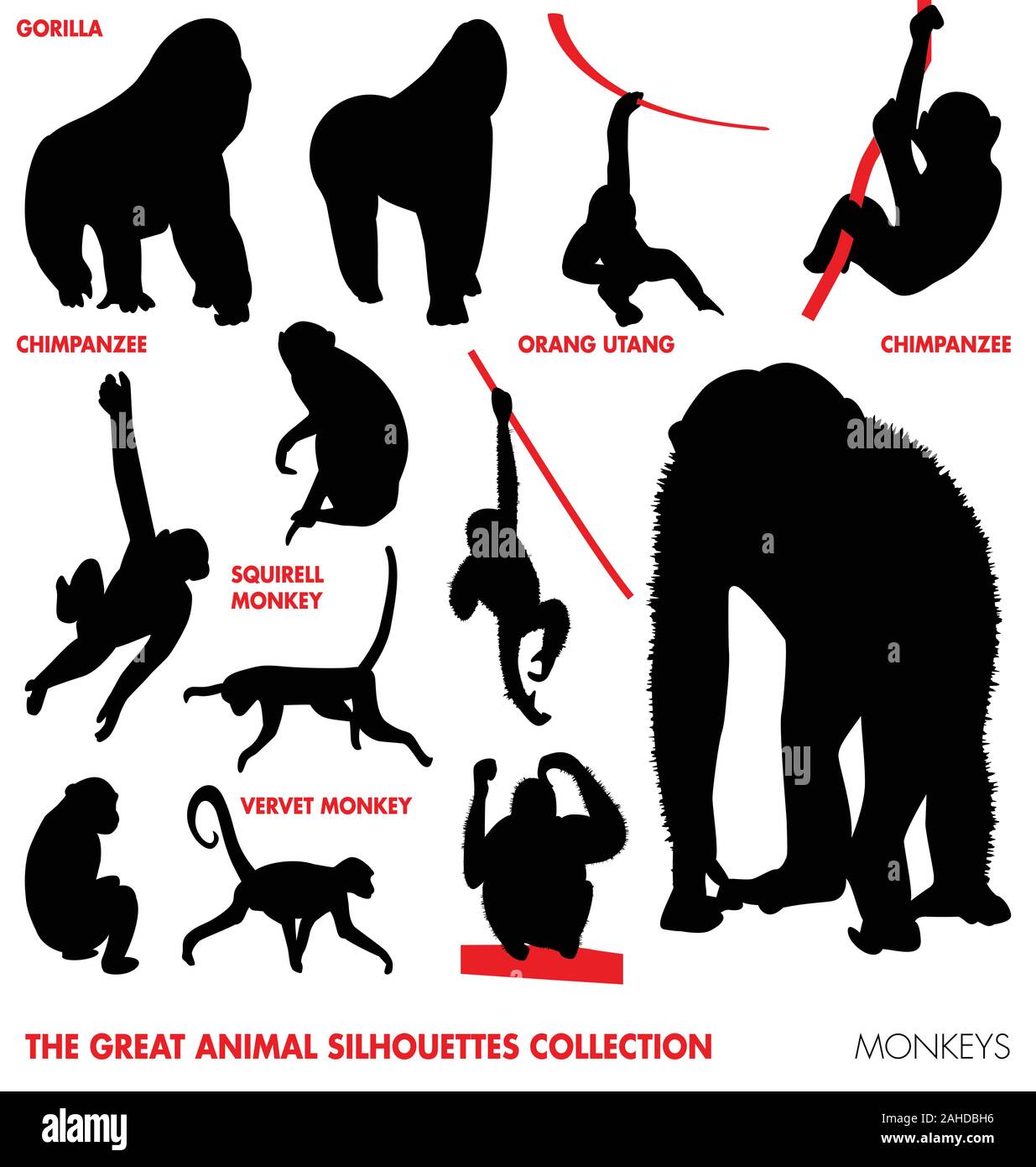 high detailed monkey vector silhouettes collection Stock Vector Image ...