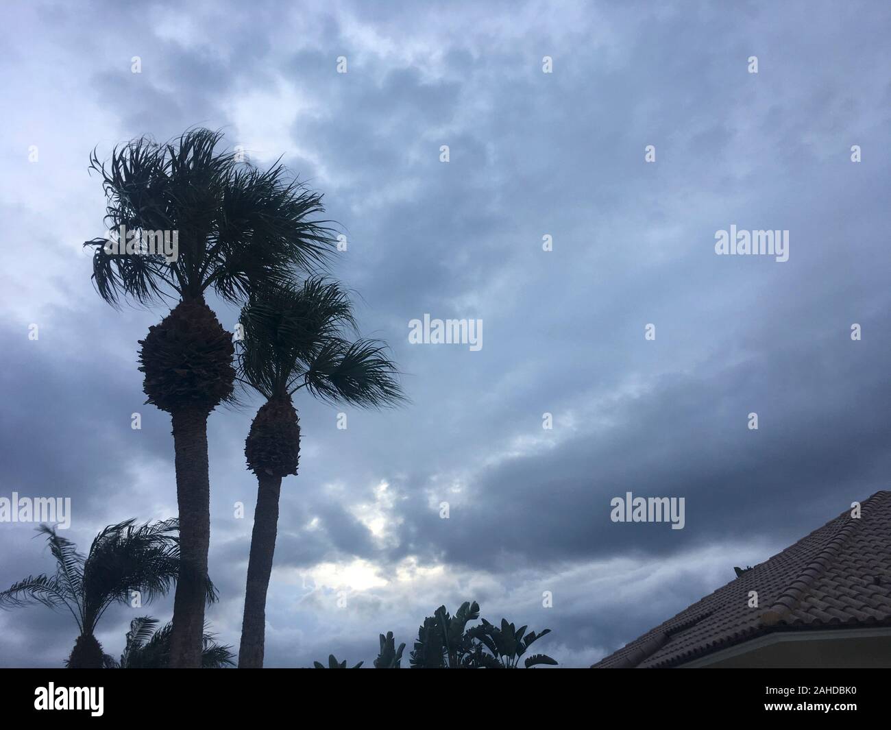 Hurricane damage miami florida hi-res stock photography and images - Alamy