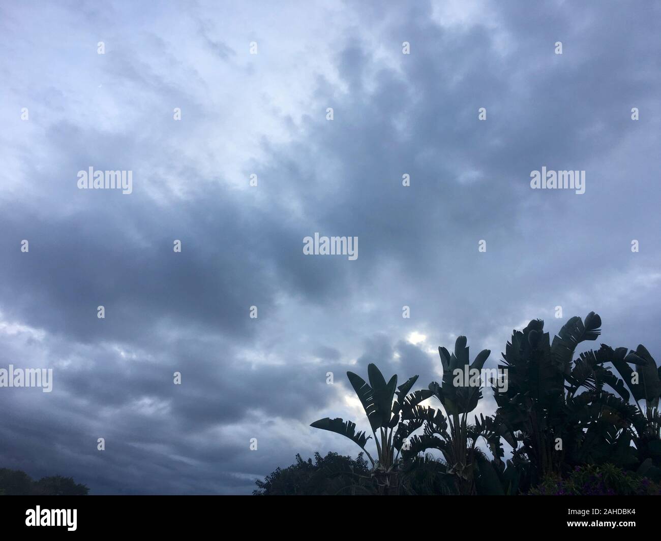 Hurricane damage miami florida hi-res stock photography and images - Alamy
