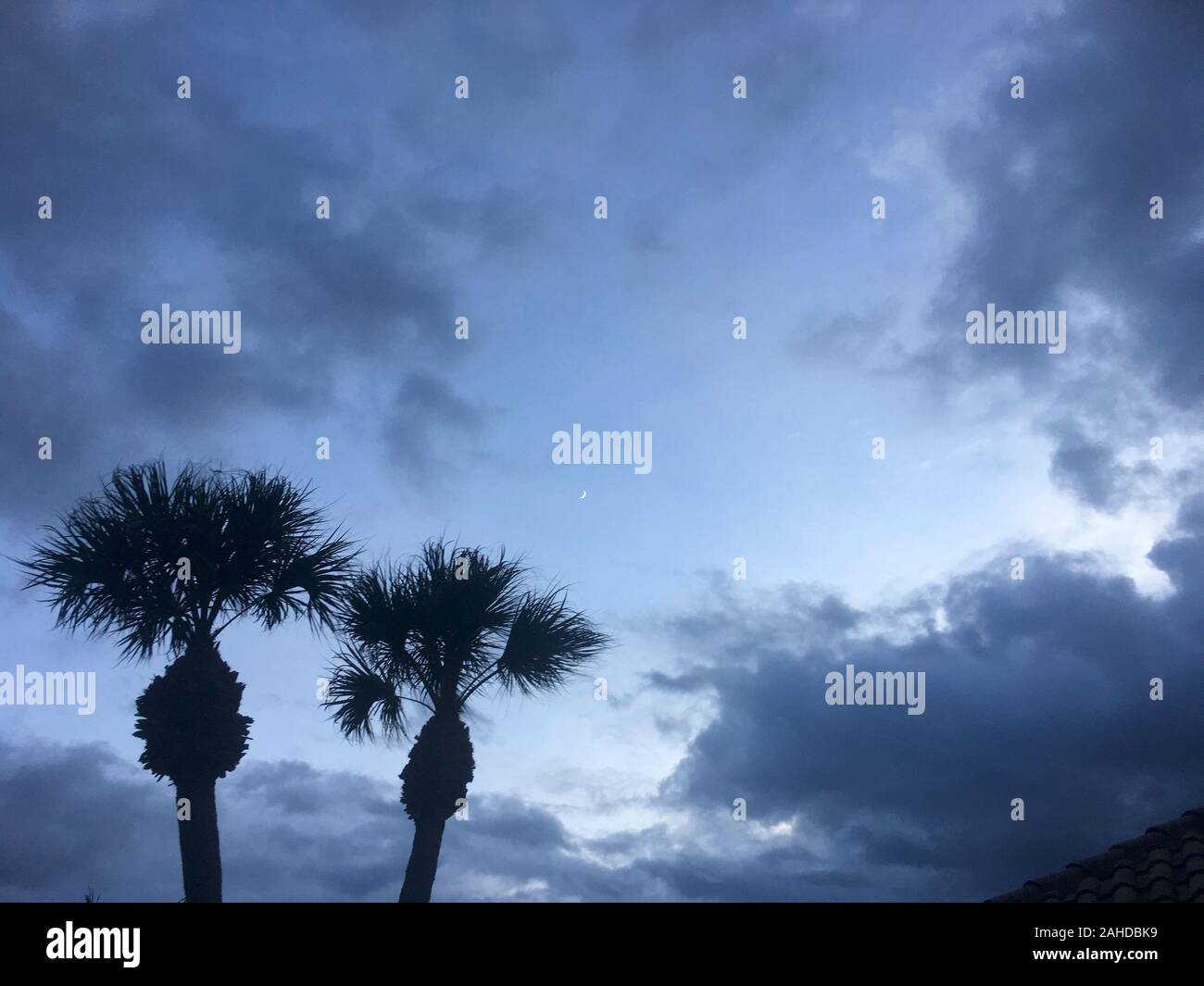grey sky of hurricane in Florida Stock Photo - Alamy