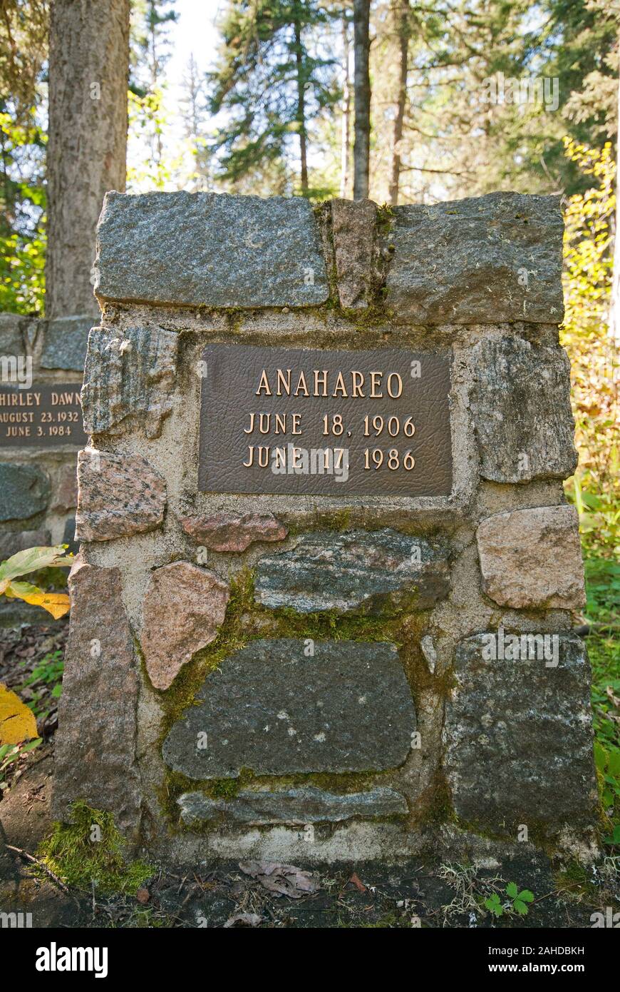 Tomb of Gertrude Bernard (known as Anahareo), wife of the naturalist ...