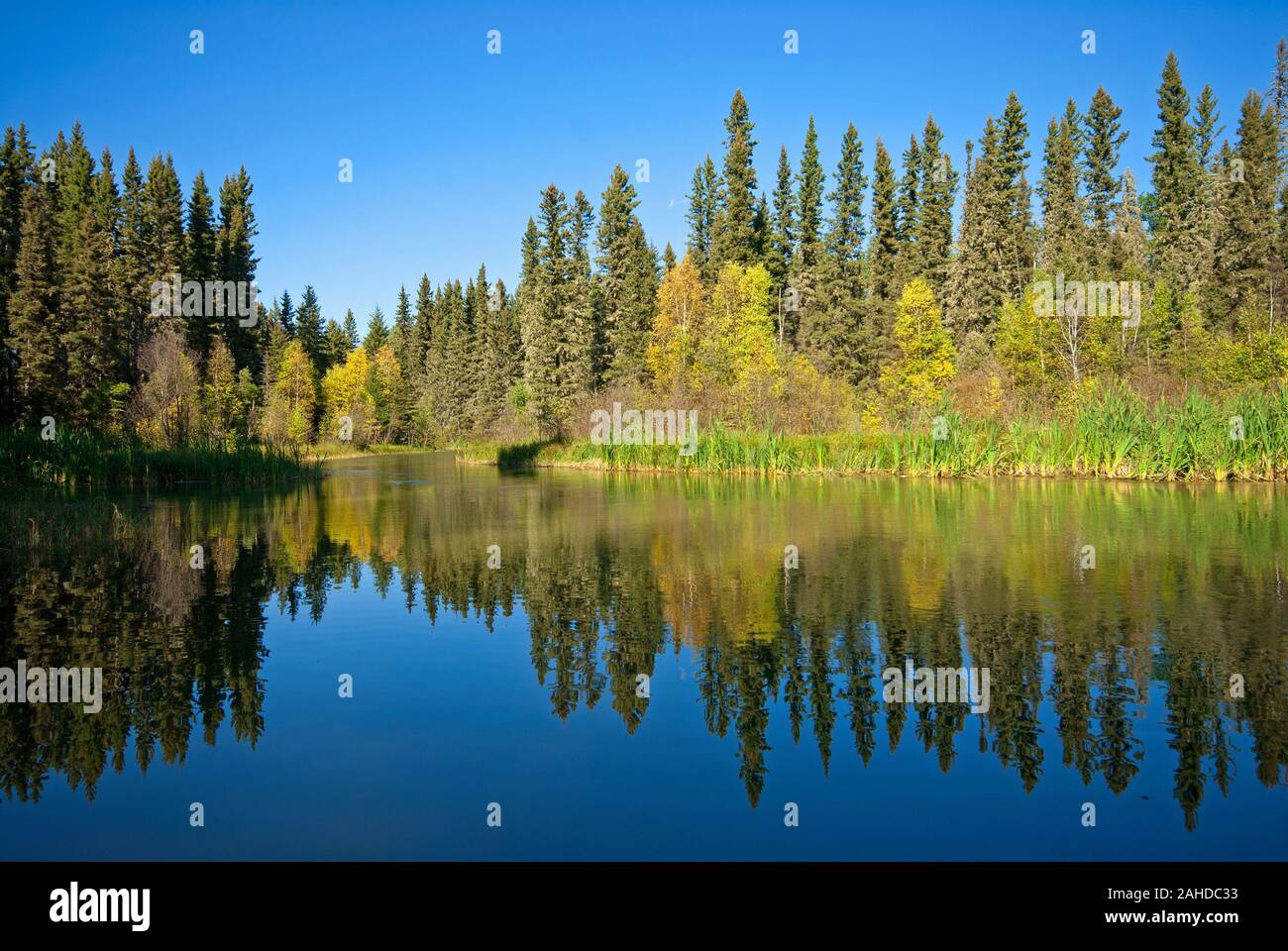 Kingsmere river in Prince Albert National Park, Saskatchewan, Canada ...