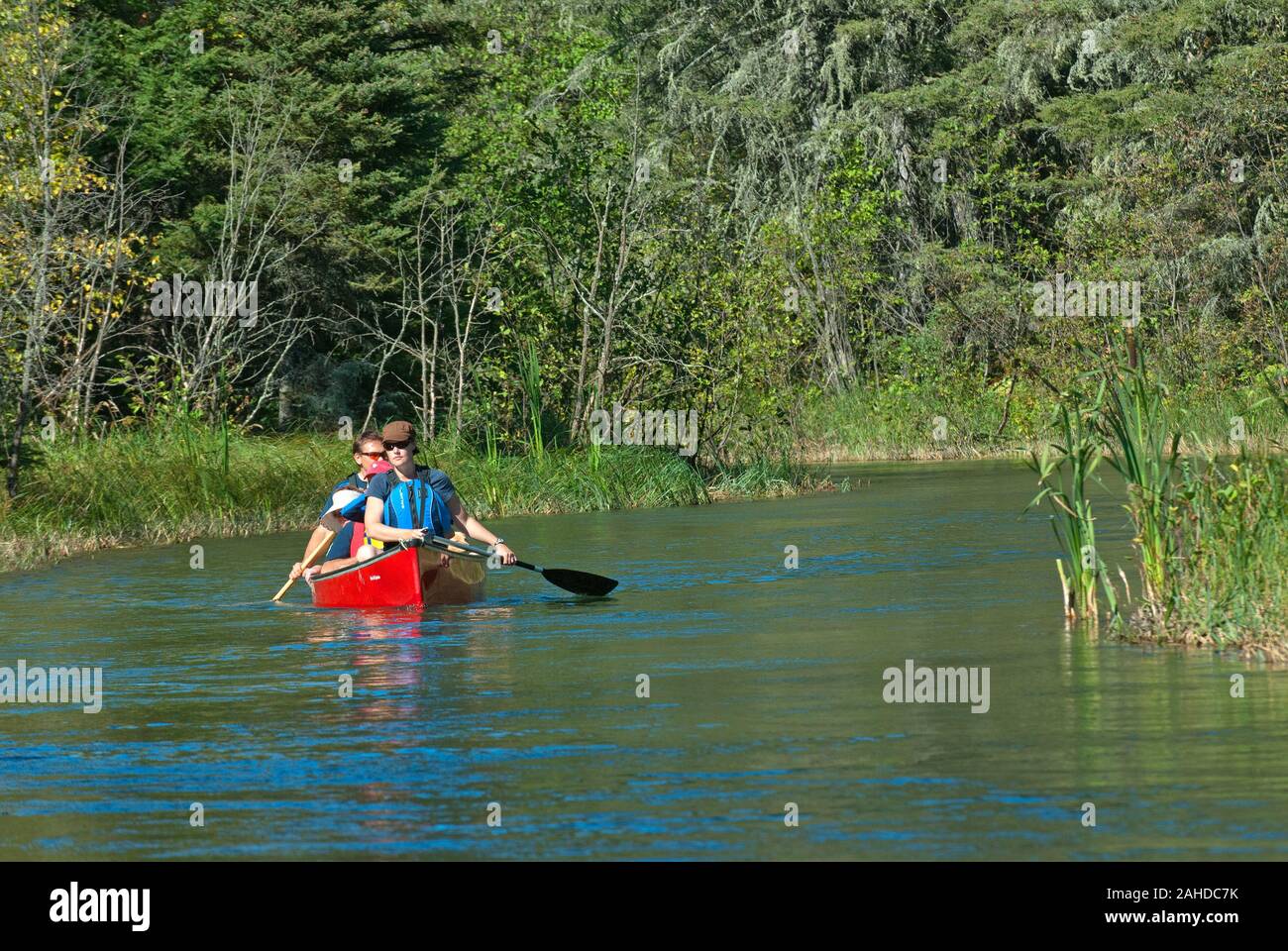 Canoeing on Kingsmere river, Prince Albert National Park, Saskatchewan ...