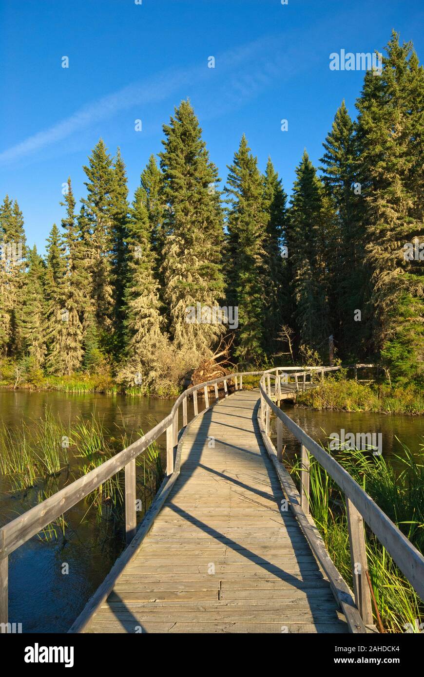 Prince Albert Bridge High Resolution Stock Photography and Images - Alamy