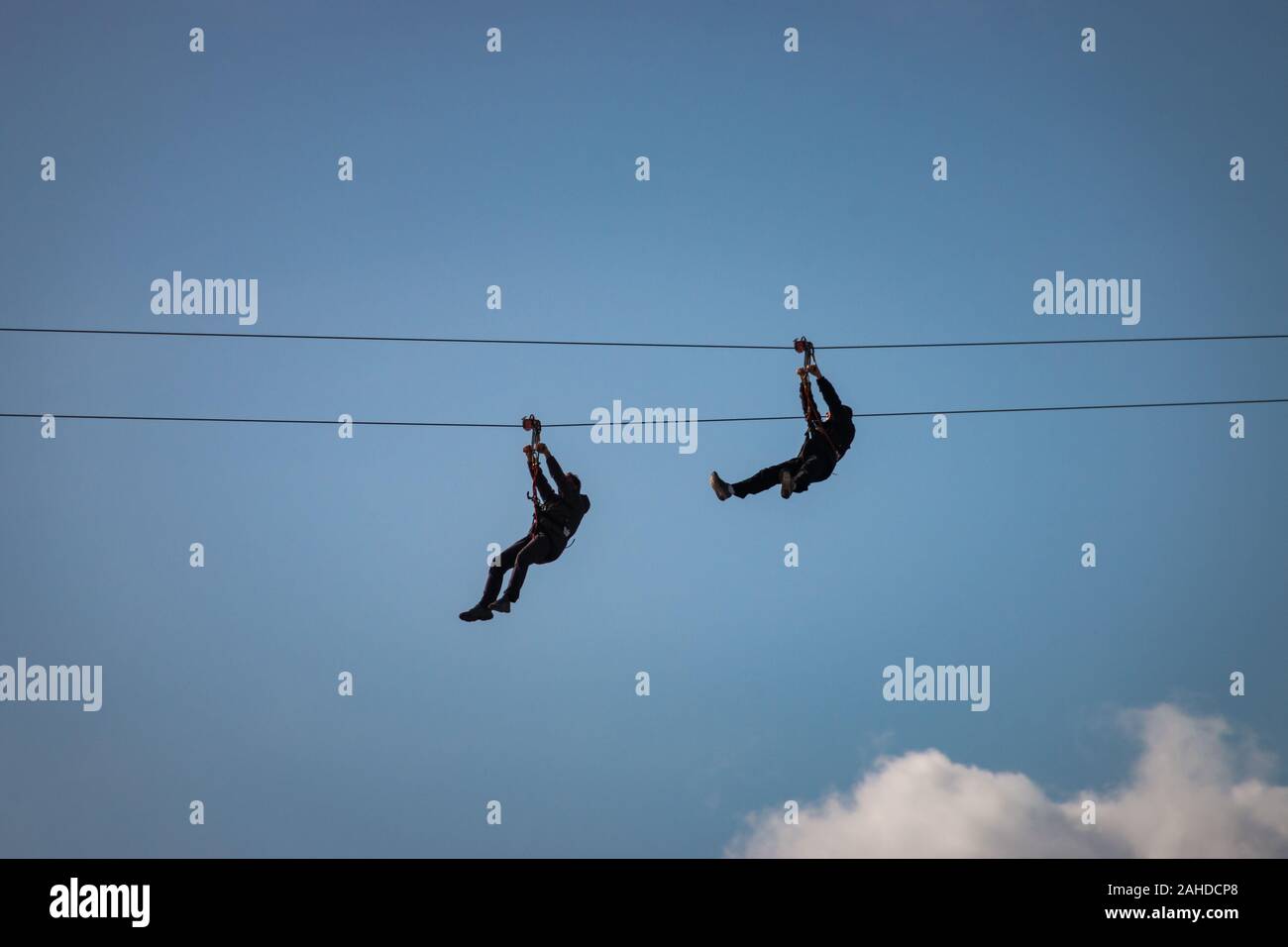Using a zipline hi-res stock photography and images - Alamy