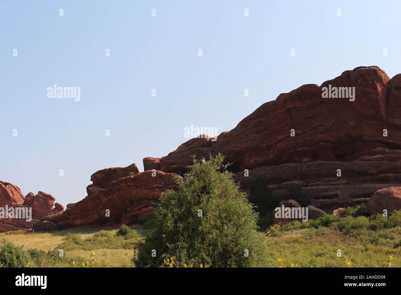 Red rock formations jutting out of the ground surrounded by shrubs ...