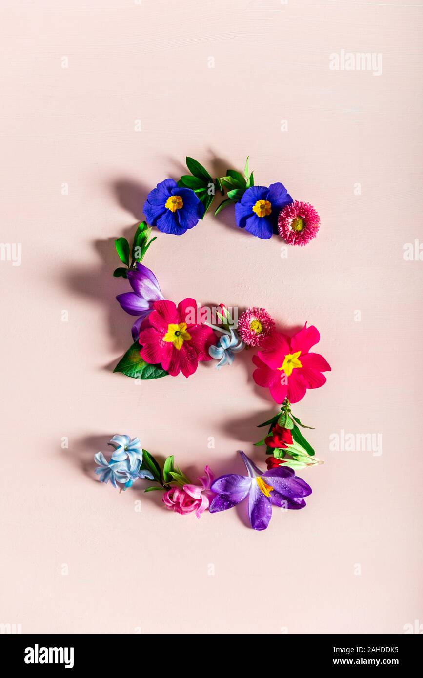 Easter minimal concept. Letter S made from spring flowers on the pink ...