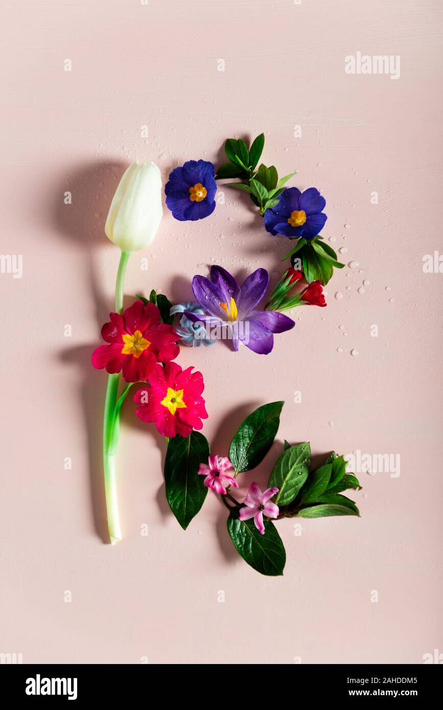 Easter minimal concept. Letter R made from spring flowers on the pink ...