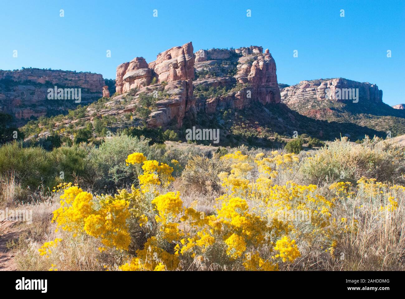 Devil's Kitchen, Colorado National Monument Stock Photo - Alamy