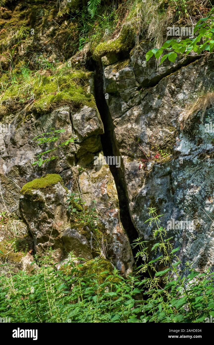 Near-vertical fissure in limestone in the dry gully near the entrance ...