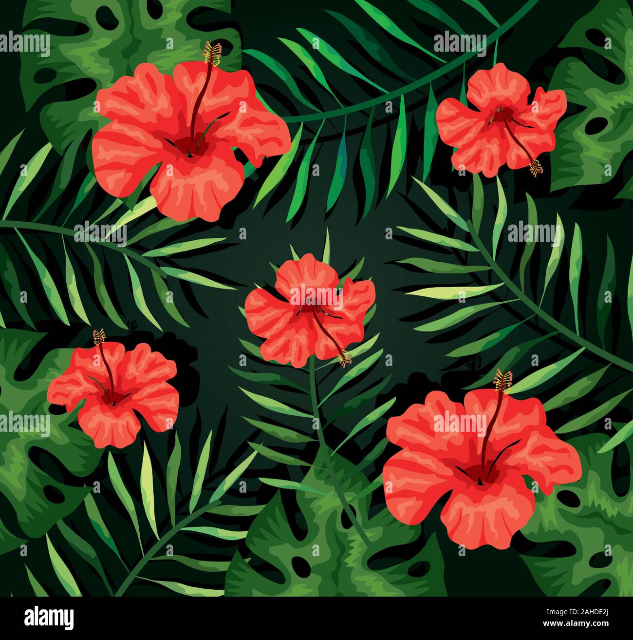 Red tropicals hi-res stock photography and images - Alamy