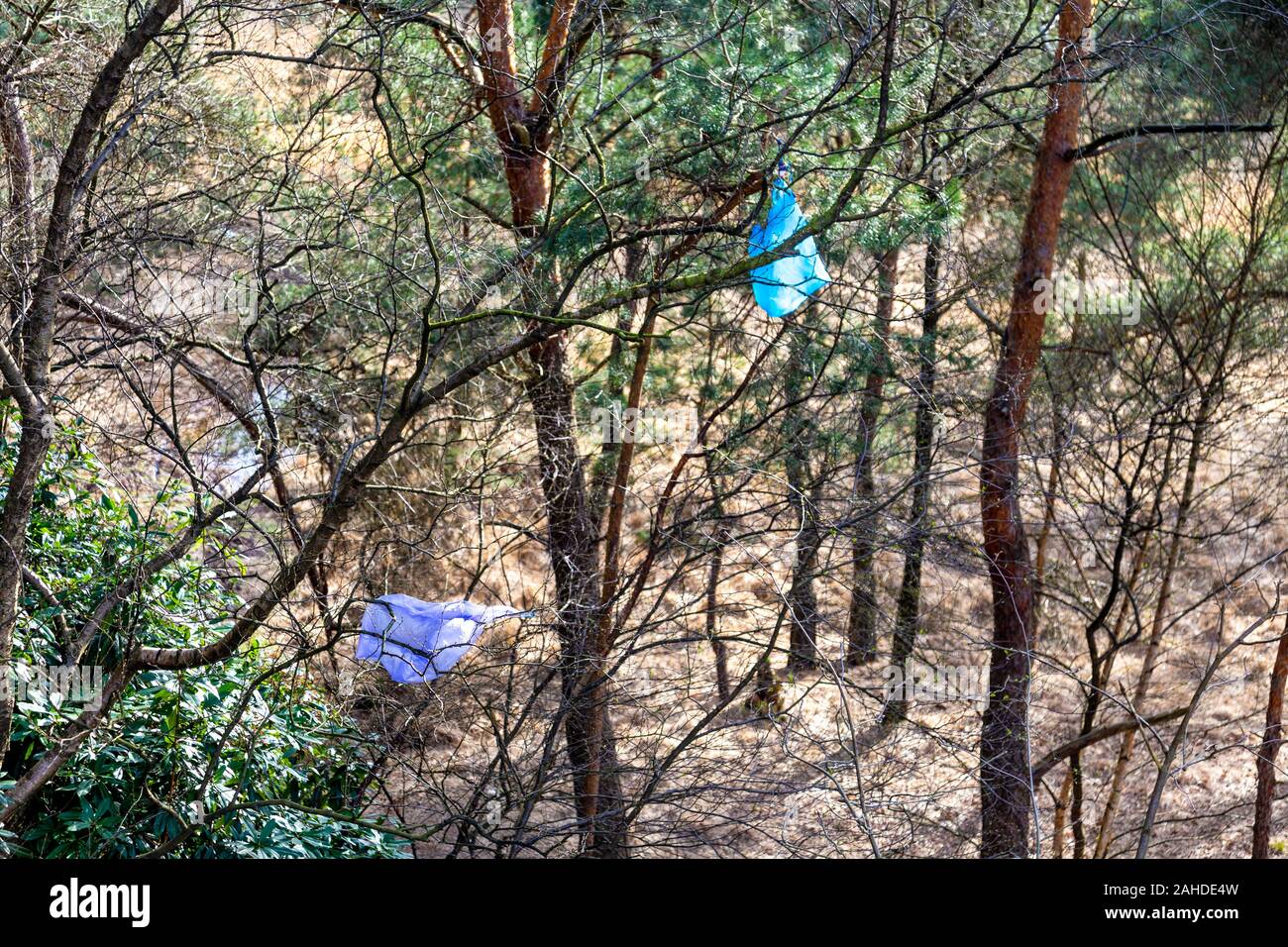 Plastic pollution tree hi-res stock photography and images - Alamy