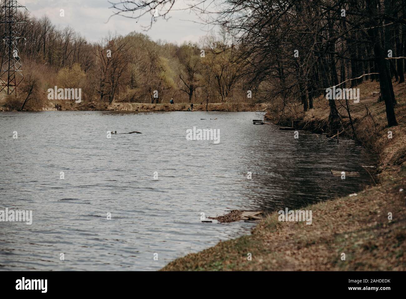 Beautiful lake. Spring nature background Stock Photo - Alamy